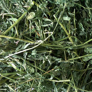 Balanced Equine - Nutrition Articles