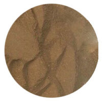 Balanced Equine - Mycosorb A+